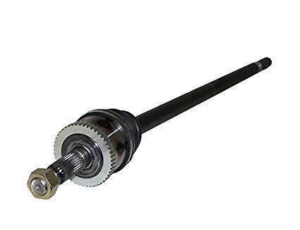 ב. ינוביץ - ציריה קדמית ימין WJ